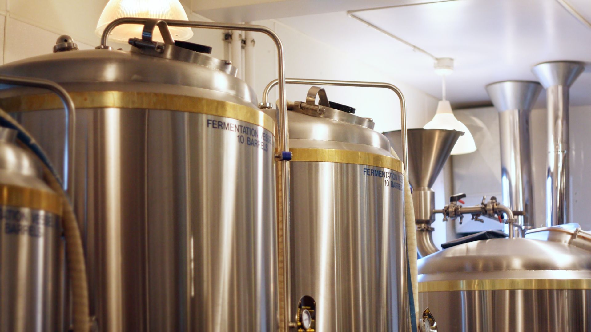 Reshaping Biomanufacturing with Intelligent Fermentation Technology - SynBioBeta